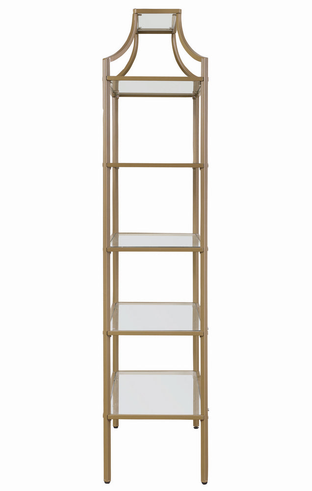 Azariah Clear Glass/Matte Gold Metal 5-Tier Bookcase – Aetna Stores